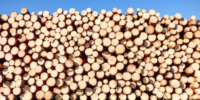 What is UC4 timber? | Understanding Use Class 4 | Postsaver