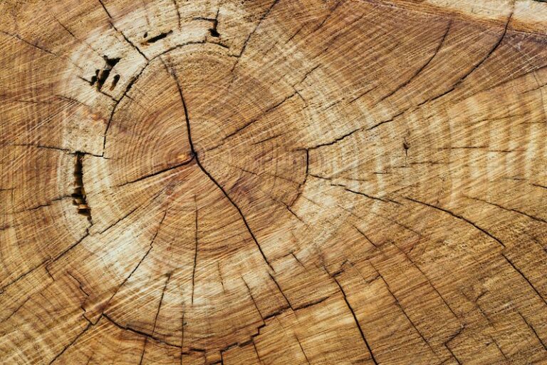 What is UC4 timber? | Understanding Use Class 4 | Postsaver